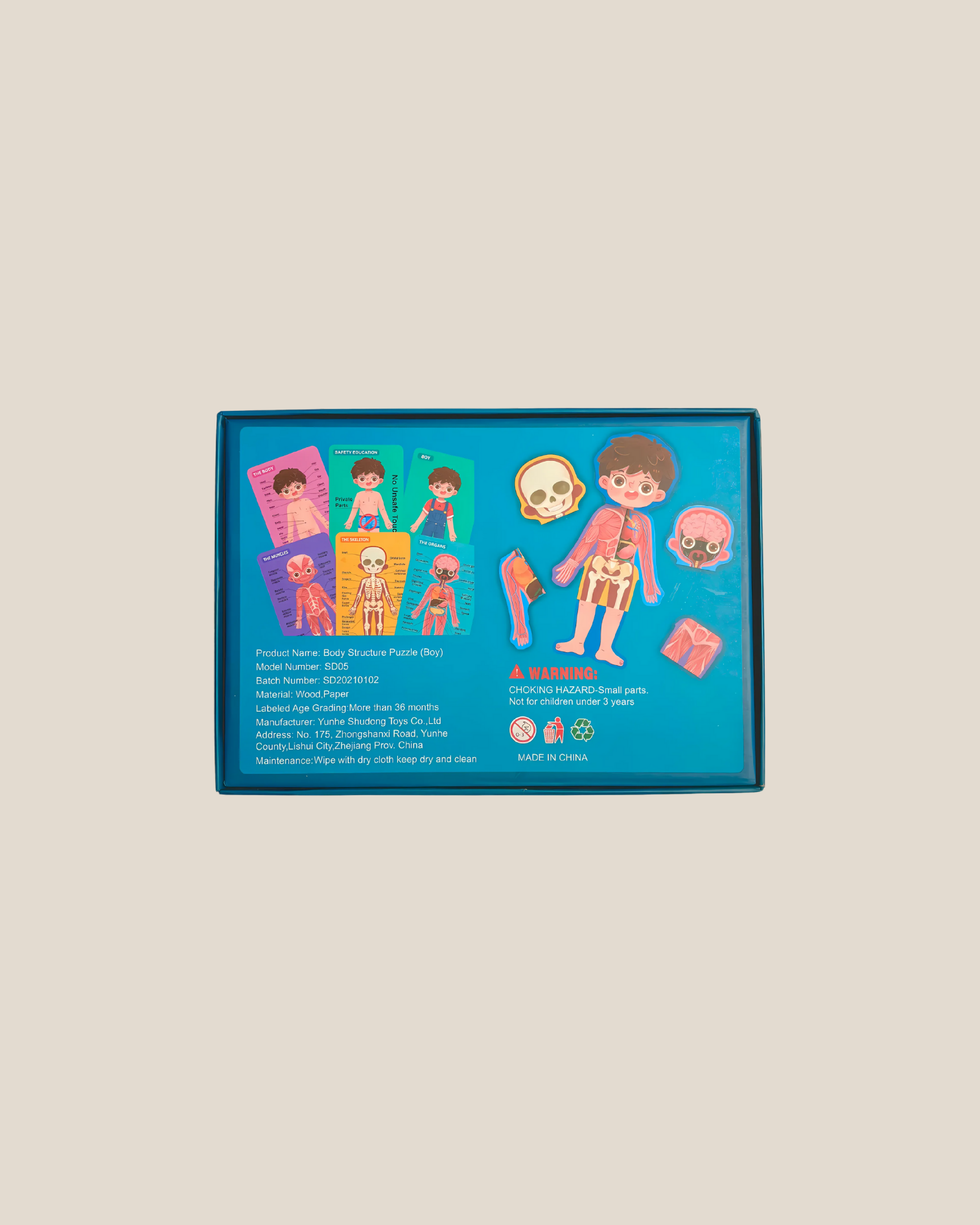 Human Body Structure Puzzle - Educational Anatomy Jigsaw for Kids ...